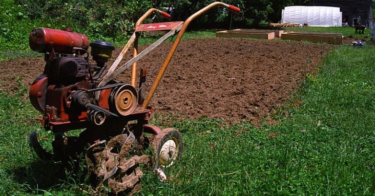 Step by Step Guide to Create a New Garden Bed with Tilling - Seed & Sparrow
